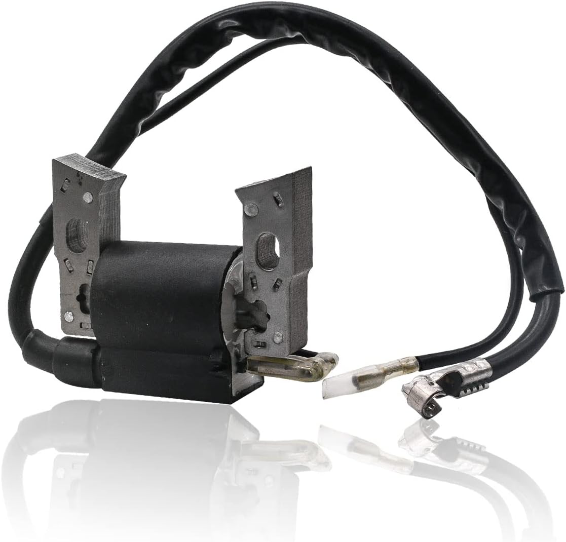 Amazon.com: XingLi 796500 Ignition Coil Fits for 595291 796500 111P02 ...