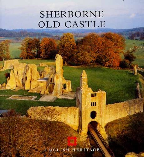 Sherborne Old Castle: Brian Davison: 9781850747956: Amazon.com: Books