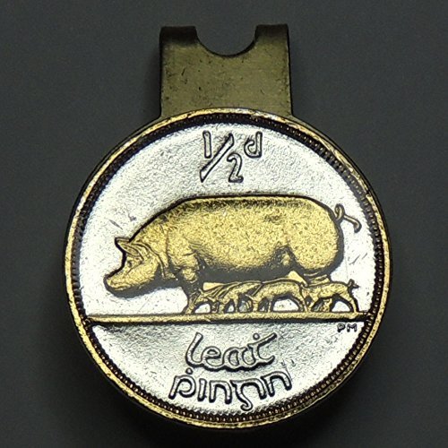 Pig Irish Pigs