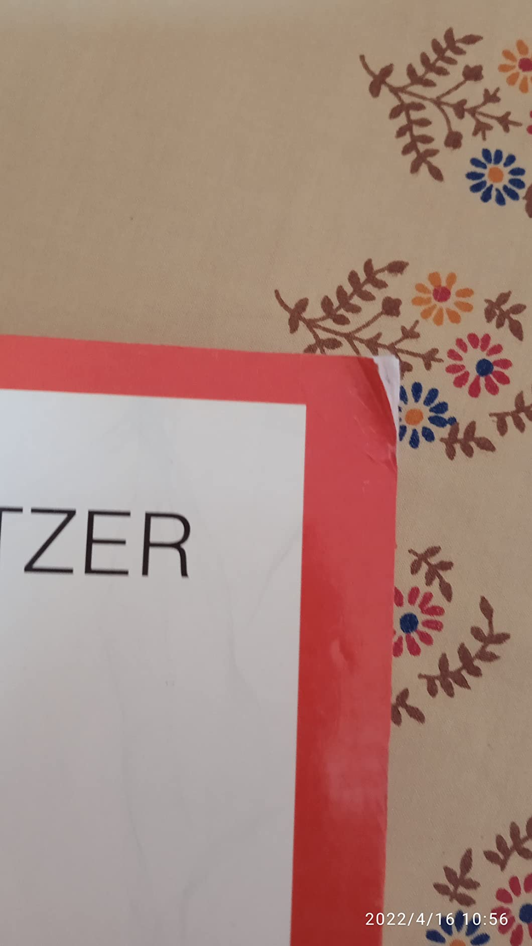 Sociological Theory (Fifth Edition) : Ritzer G: Amazon.in: Books