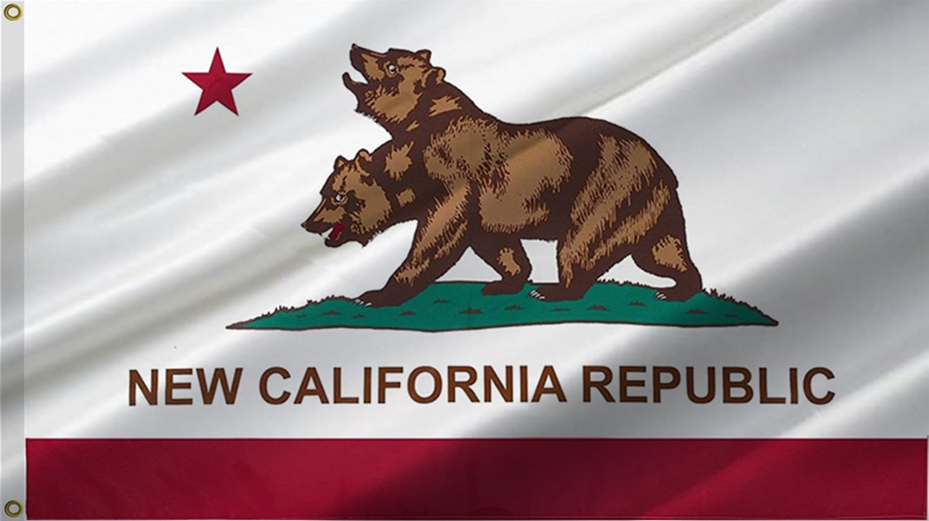 Amazon.com : Yeboefir New California Republic Flag Banner 3x5FT,Printed ...