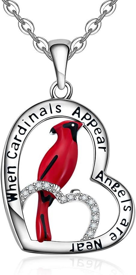 Get 50% OFF on Hamsa Hand Evil Eye Red Cardinal Turtle