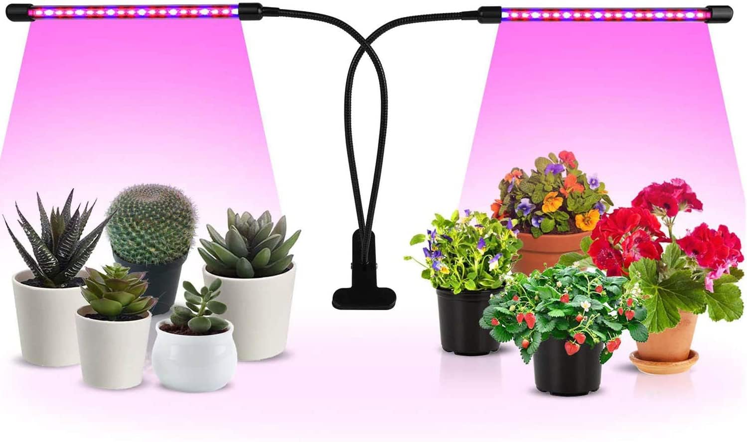 Amazon.com : Garpsen Grow Lights for Indoor Plants, Grow Light with Red ...