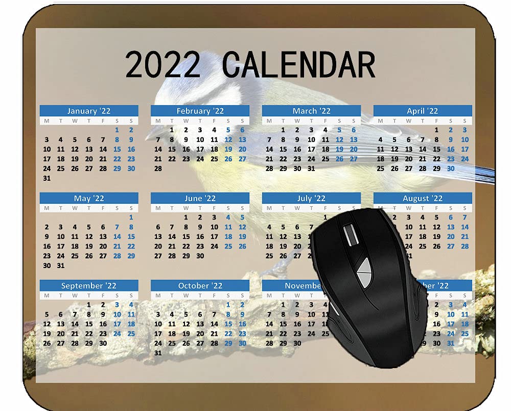 Razer Mouse Pad 2022