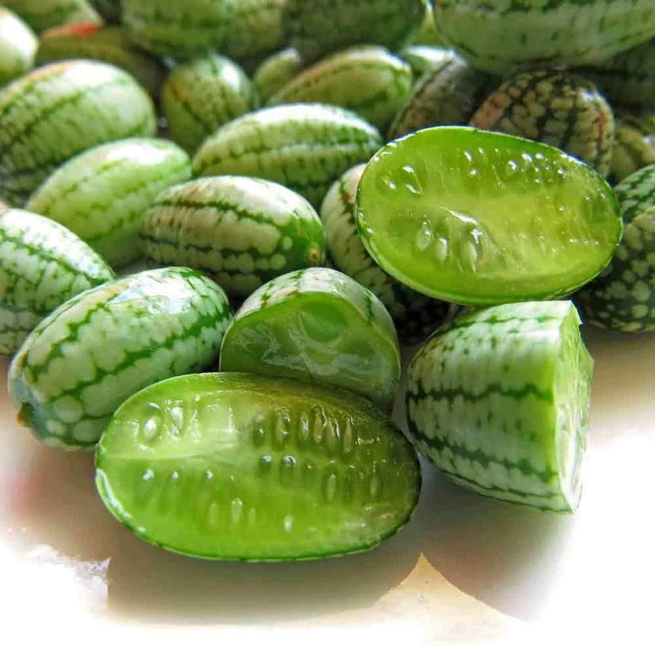 Mexican Miniature Watermelon Seeds Organic Cucamelon Mini Sour Gherkin ...