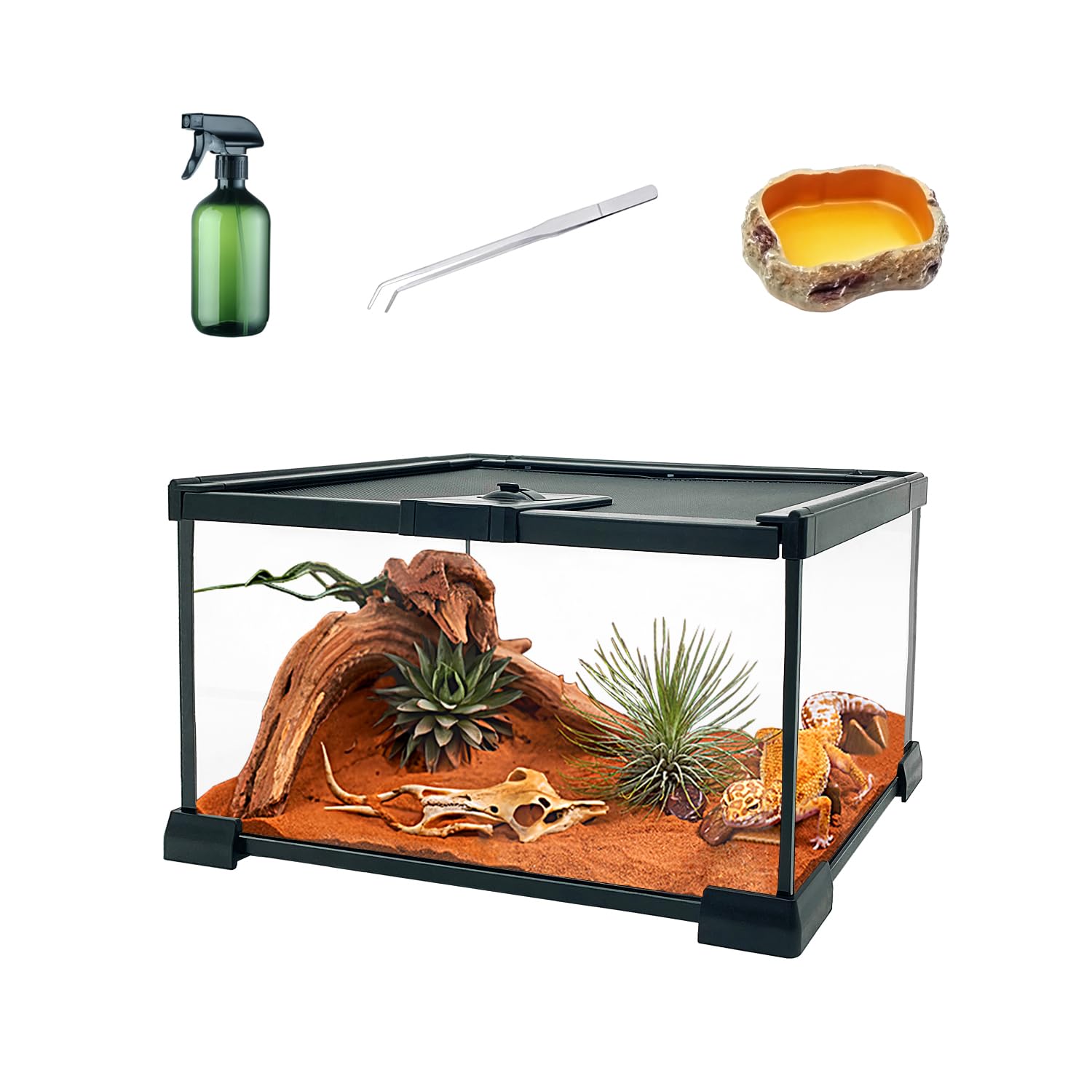 KAKOOTI Upgrade！Reptile Glass Terrarium kit，12"x8"x8"Terrarium ...