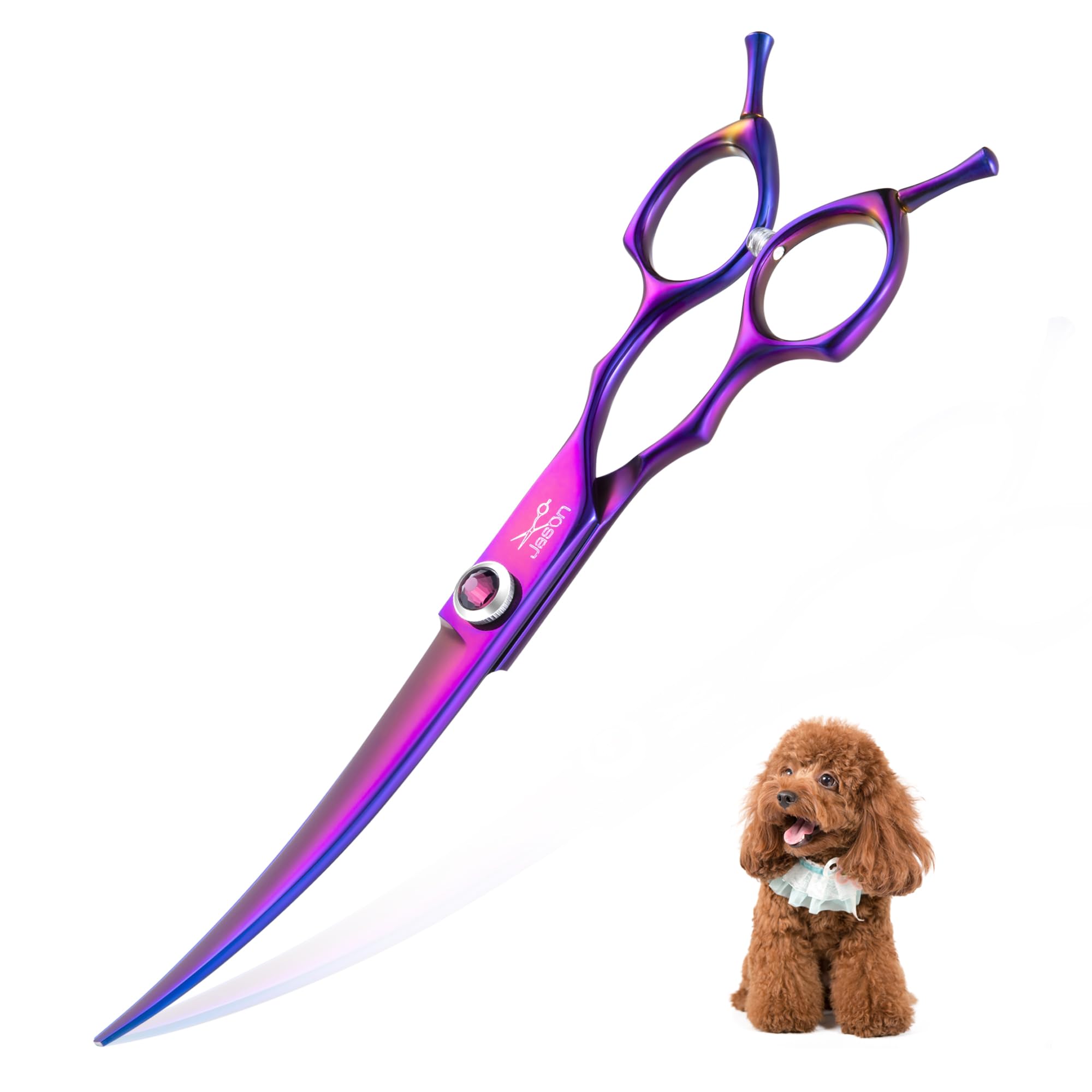 Amazon.com: JASON 7.5" Dog Grooming Scisssors - Professional Curved ...