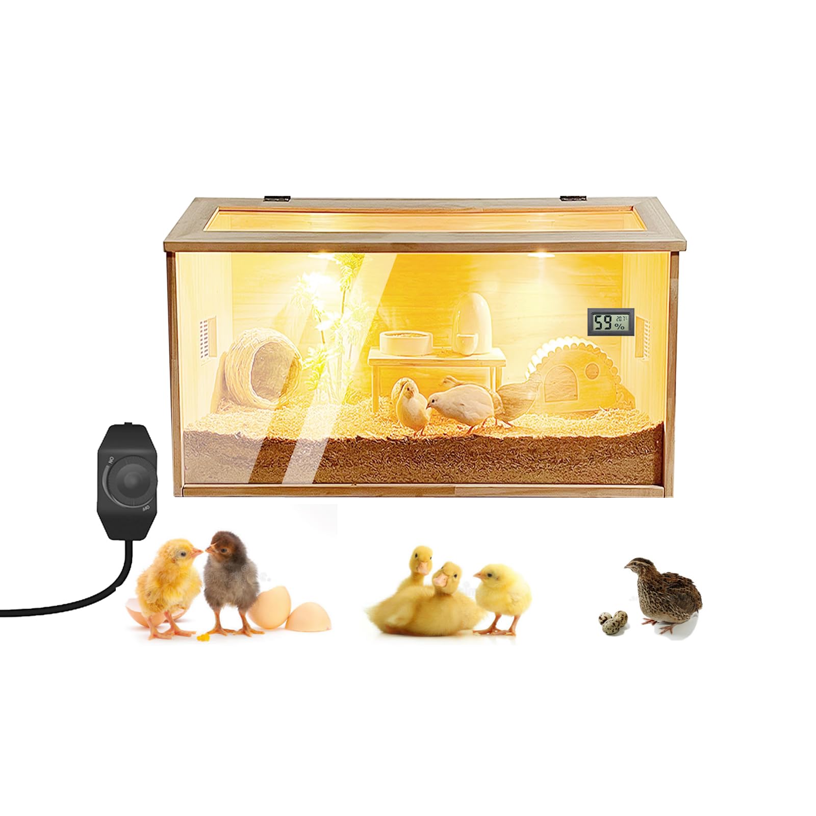 Amazon.com: Wooden Chicken brooder Box Quail rutinChick brooder,Chicken ...