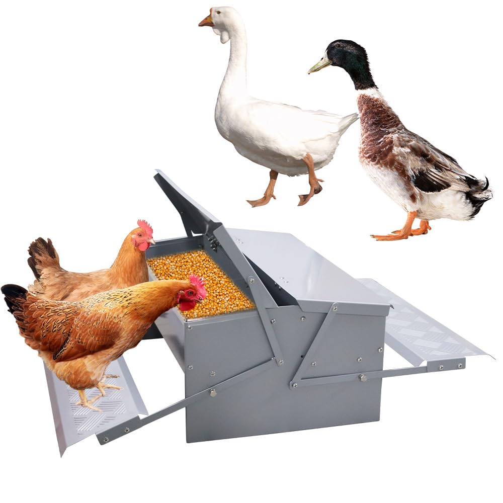 Amazon.com : Automatic Treadle Chicken Feeder, Double Feeding Trough ...