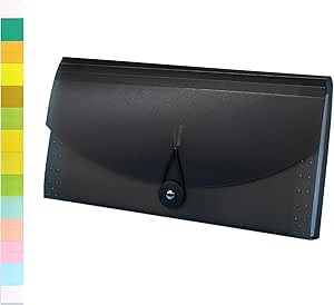 13 Pockets Flash Card Holder, Receipt Organiser with Tabs, File Folder ...