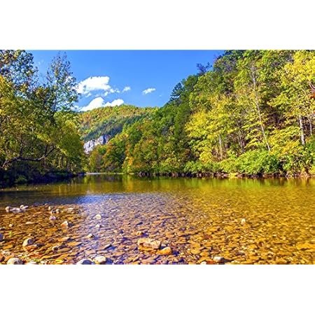 Amazon.com : CSFOTO 5x3ft Park Scenery Backdrop River Blue Water and ...