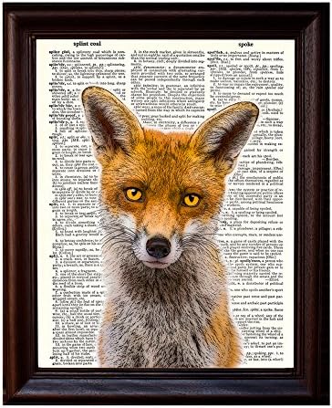 Amazon.com: Dictionary Art Print - Red Fox - Printed on Recycled ...