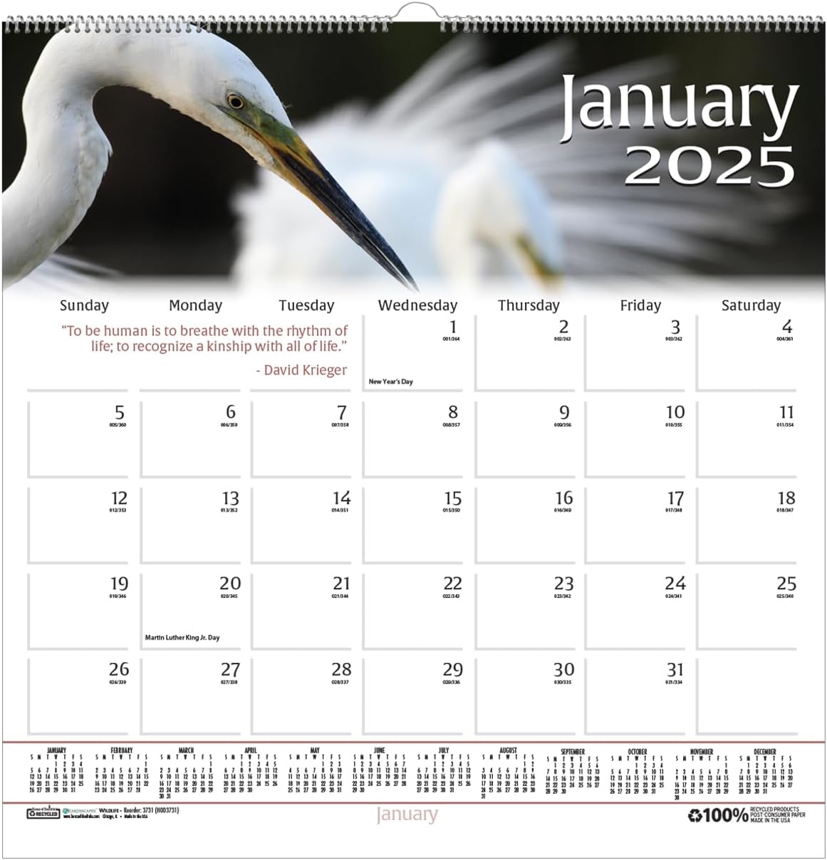Amazon.com: House of Doolittle 2025 Monthly Wall Calendar, Earthscapes ...