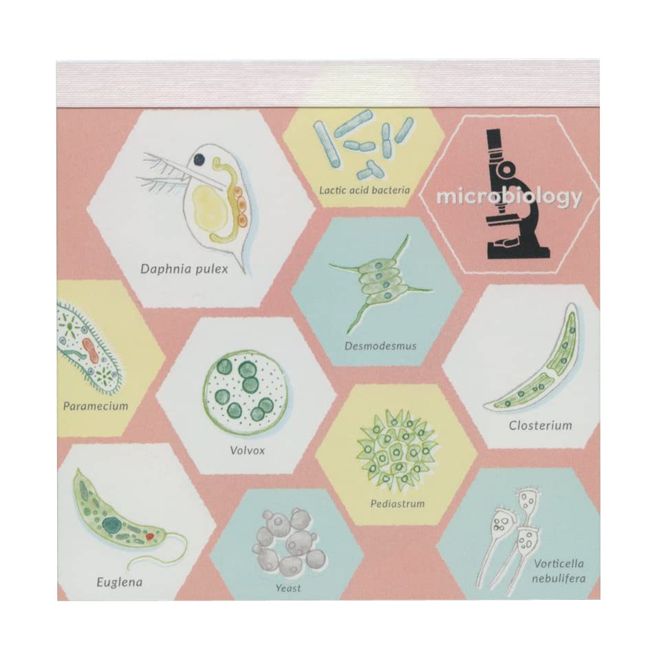 Amazon.co.jp: STUDY HOLIC メモパッド・スクエア【微生物学】メモ メモ帳 かわいい ST-163 : 文房具・オフィス用品