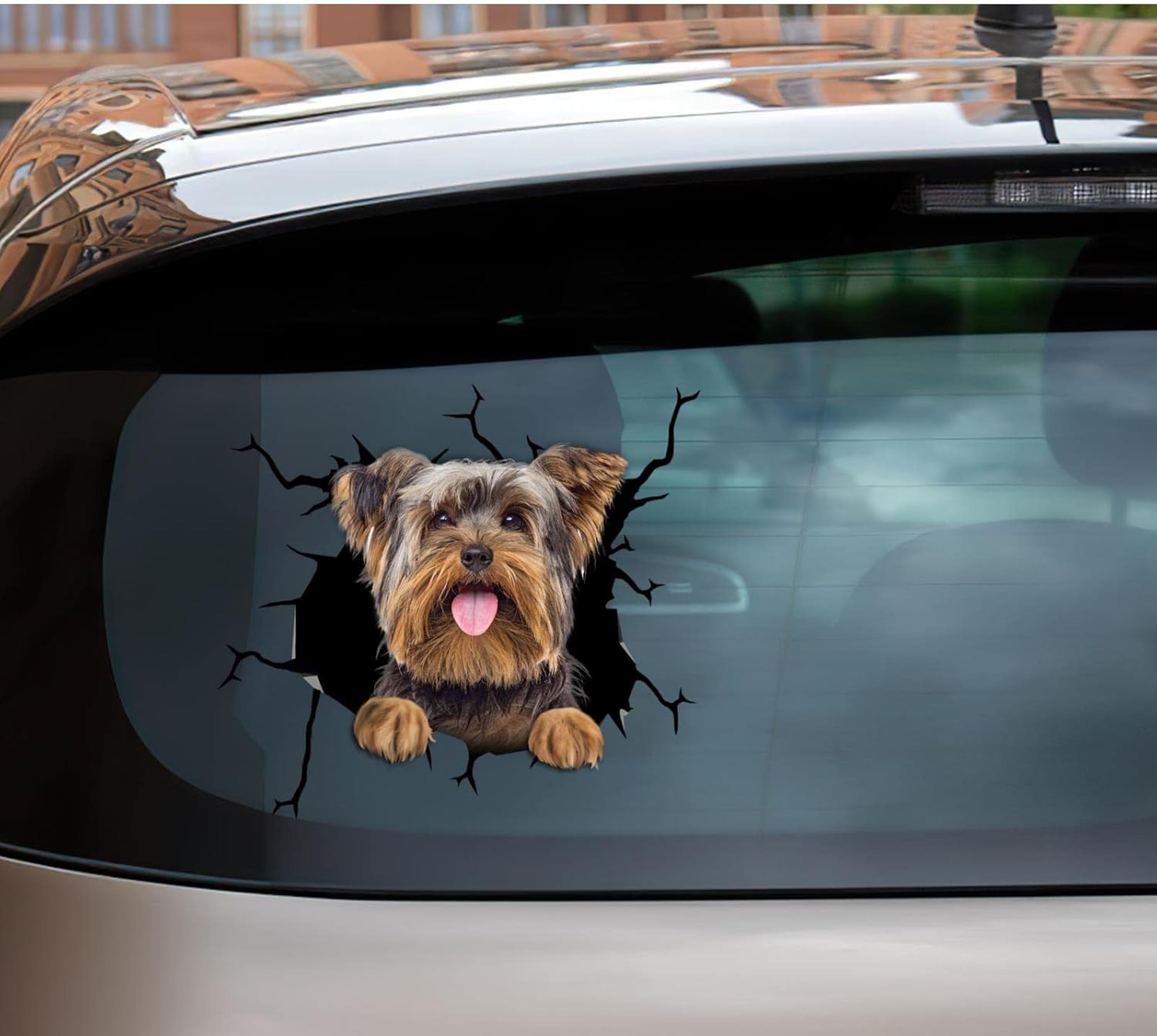 Buy Yorkies Stickers Male Yorkie Decal Vinyl Car Decal for Mens Warning ...