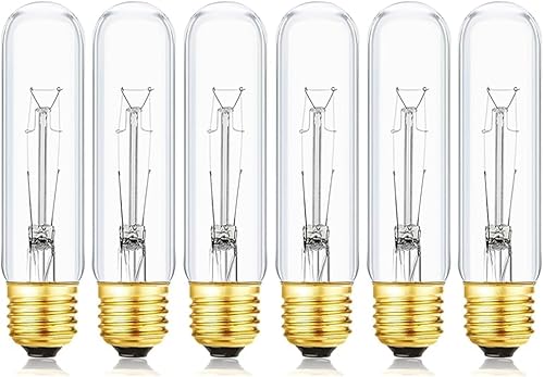 25 Watt T10 Clear Tubular Incandescent Light Bulb, Vintage Style ...