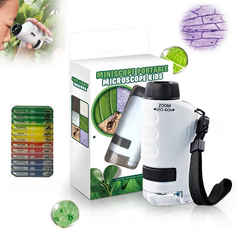 Amazon.com : Carson MicroBrite Plus 60x-120x LED Lighted Pocket ...