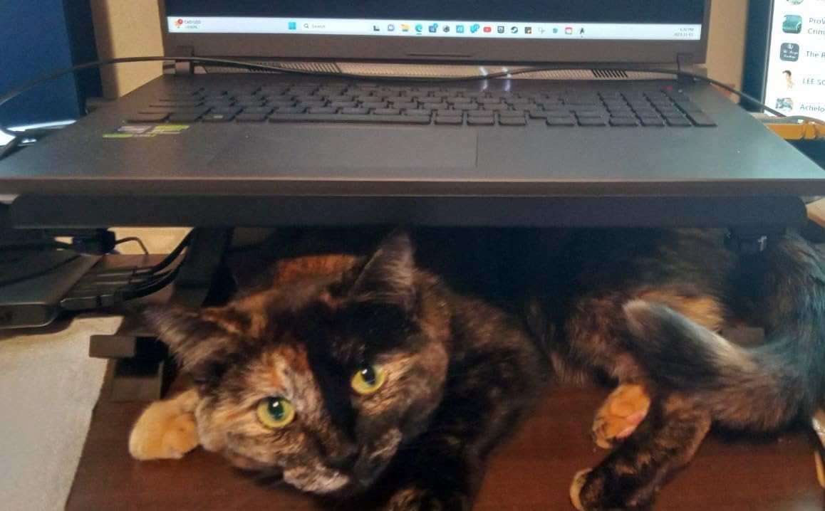 Amazon Basics Computer Stand Riser - Angle Adjustable for Monitor and ...