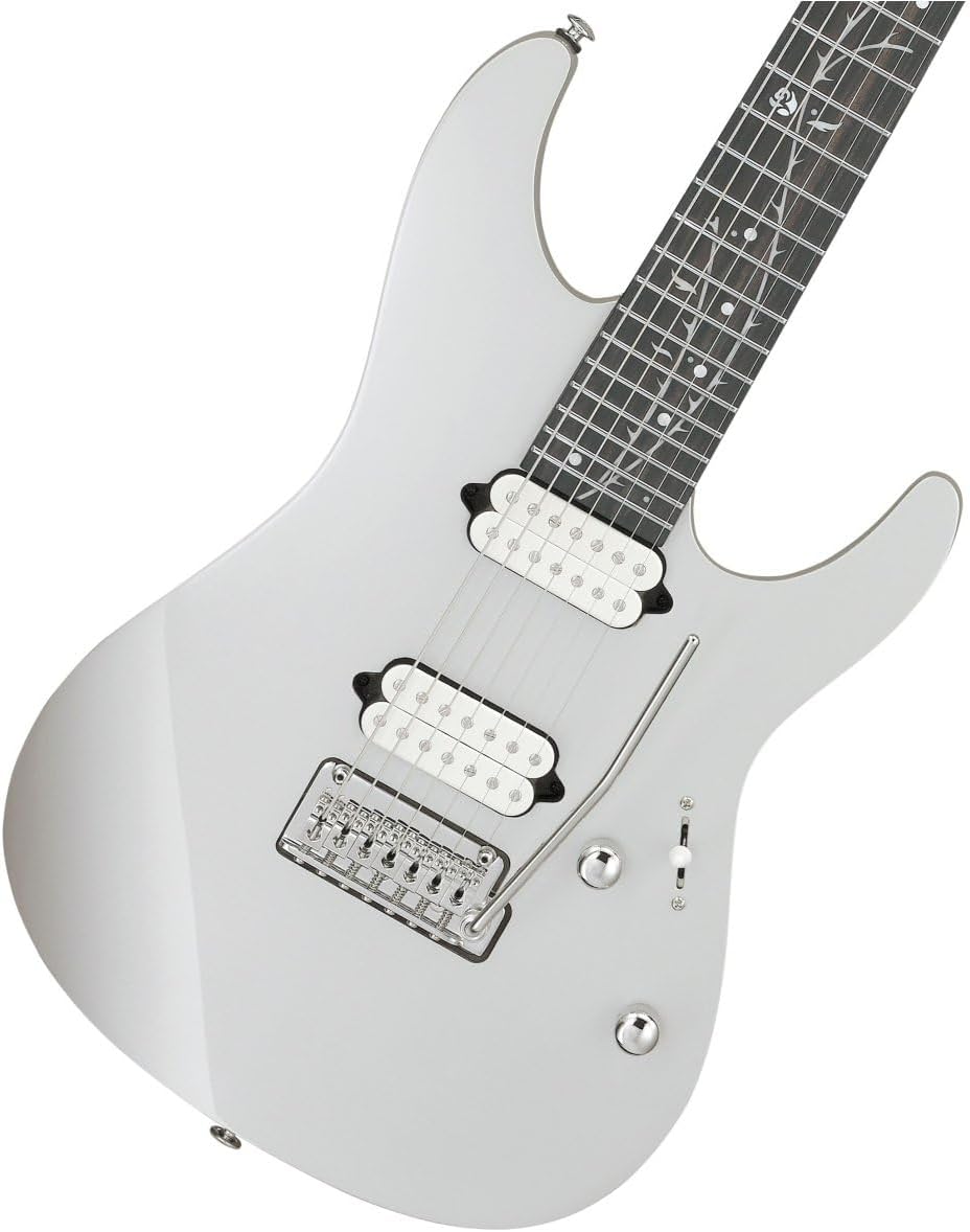 Amazon.com: Ibanez TOD70 Tim Henson Signature 7-string Electric Guitar ...