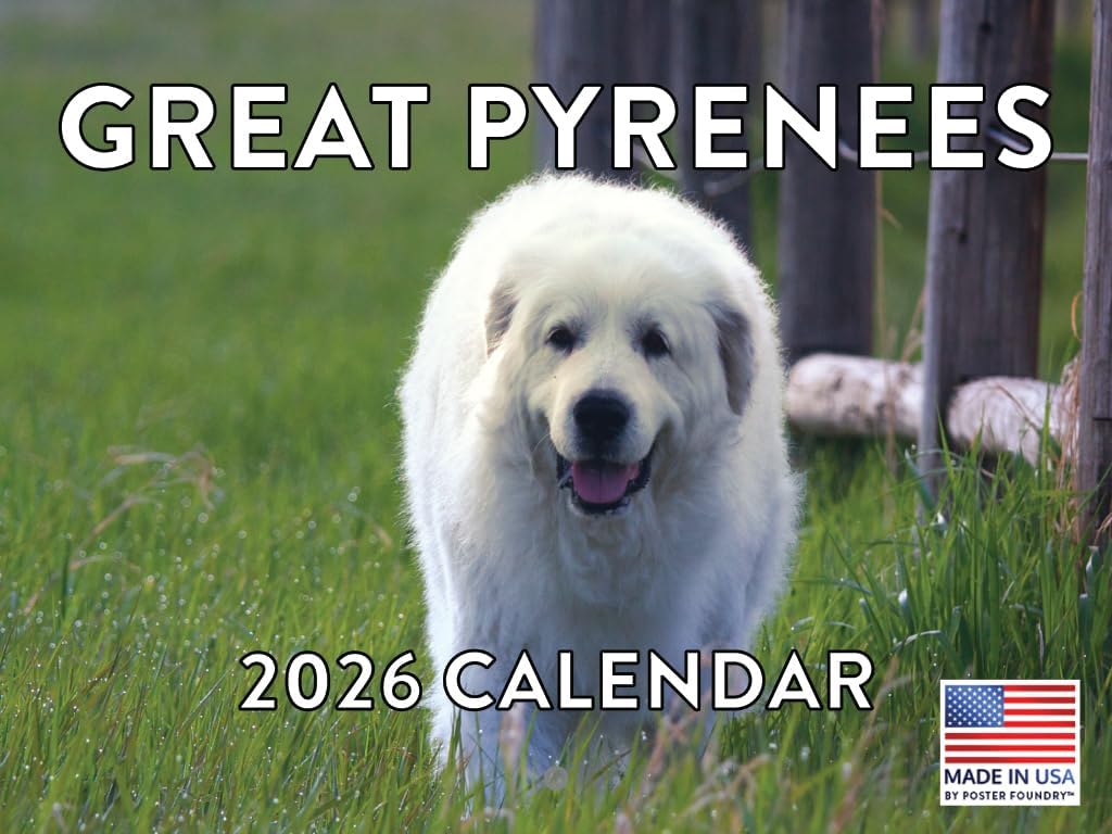 Great Pyrenees Calendar 2026 Wall 12 Month Monthly Great Pyreneess ...