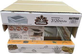 Amazon.co.jp: HYDRA Hydra Case 3120 White Kotobuki Crafts : Toys & Games