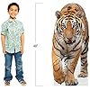 Amazon.com: Tiger - Life Size Cardboard Cutout Standup People with ...