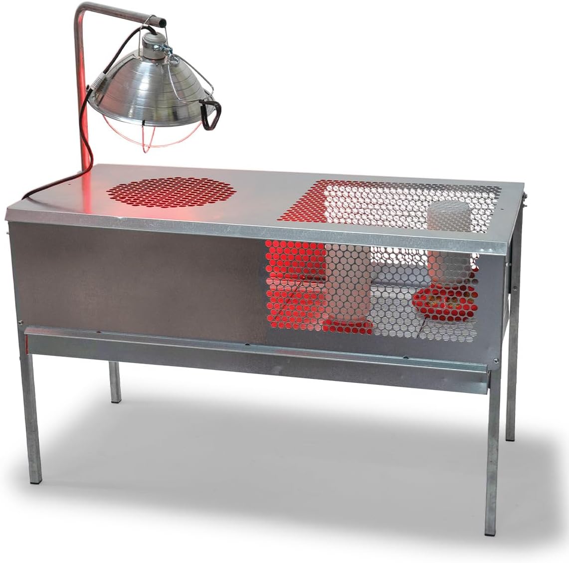 Amazon.com: Stand-Up Chick Brooder | Durable Galvanized Steel & Wire ...