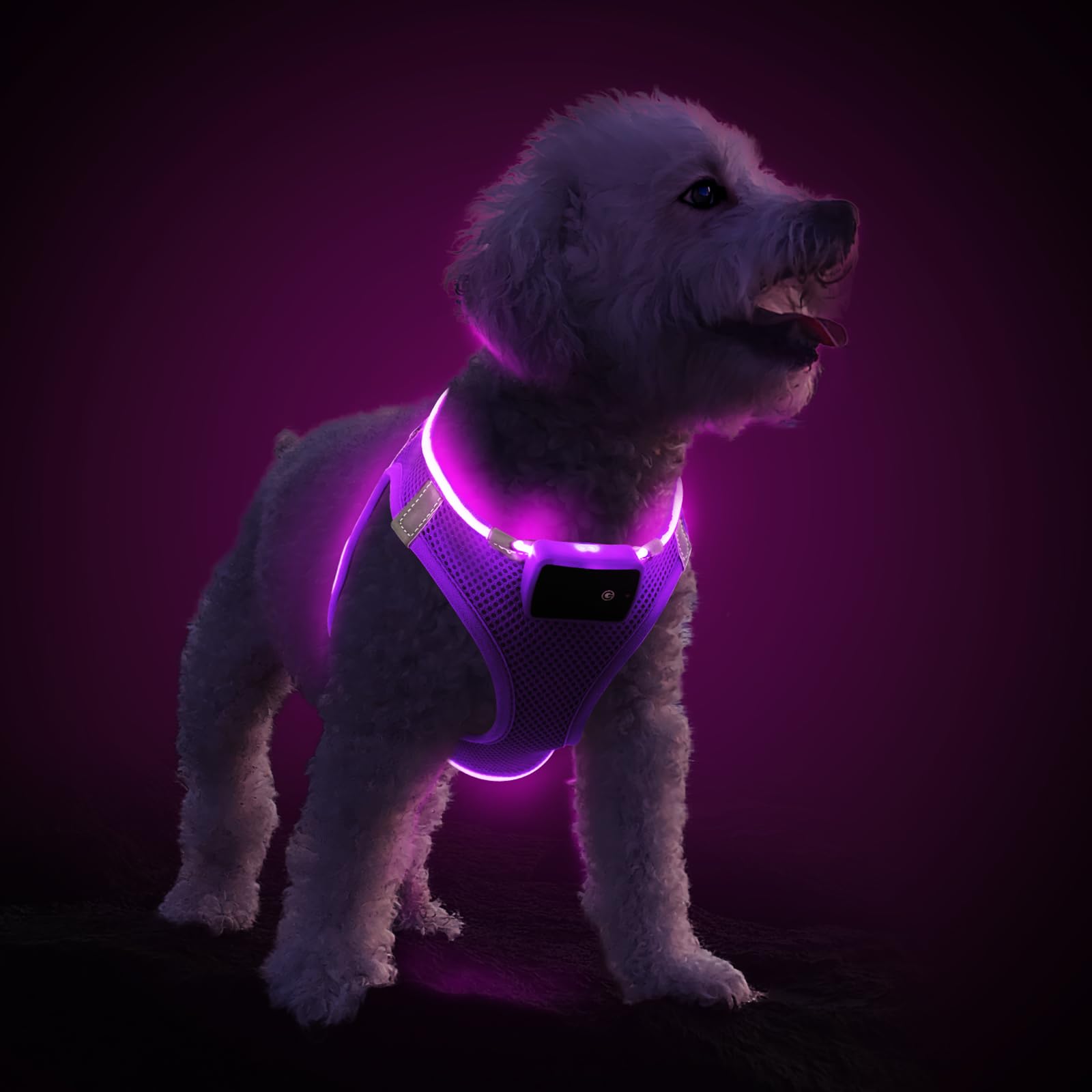 Amazon.com : PcEoTllar Light Up Dog Harness, LED Dog Harness for Puppy ...
