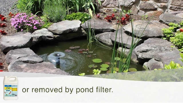 Watch How to use API POND ACCU-CLEAR water clarifier on Amazon Live
