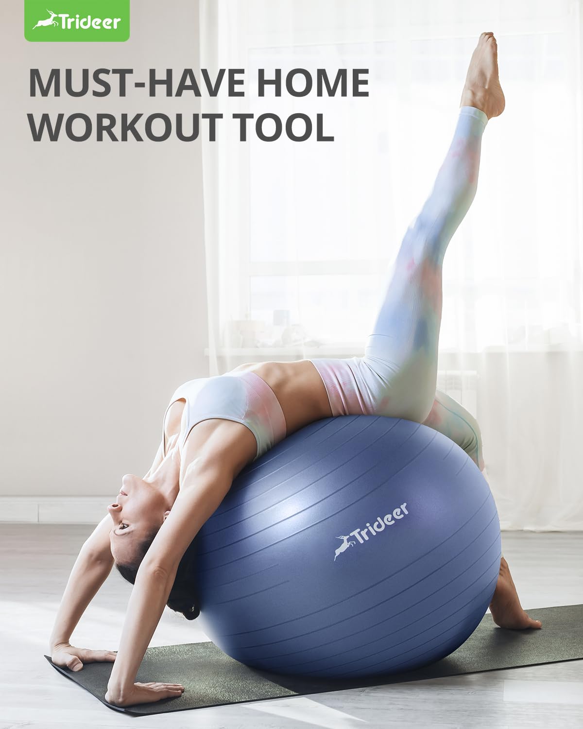 Snapklik.com : Trideer Yoga Ball - Exercise Ball For Workout Pilates ...