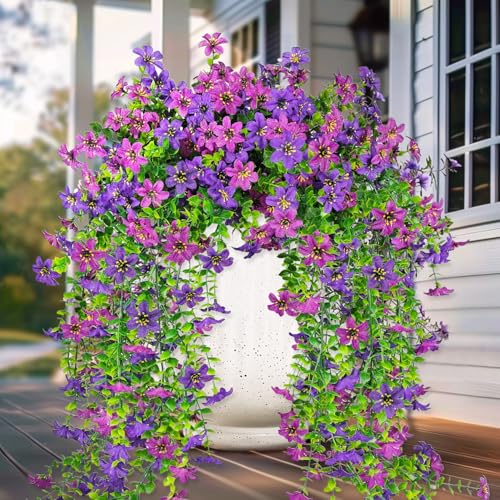 Best Outdoor Hanging Plants for Partial Sun to Beautify Your Patio 2025 ...