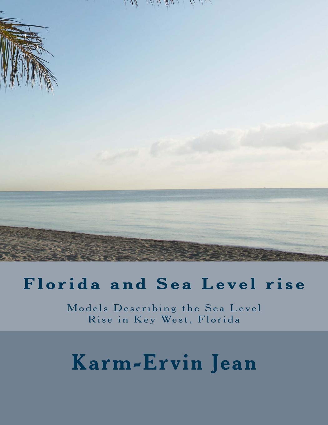 Buy Florida and Sea Level Rise: Models Describing the Sea Level Rise in ...