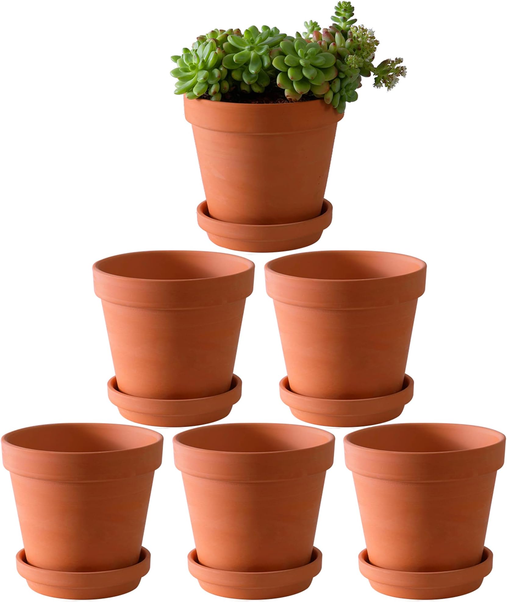 Amazon.com: 6 inch Terracotta & Clay Pots for Plants with Saucer ...