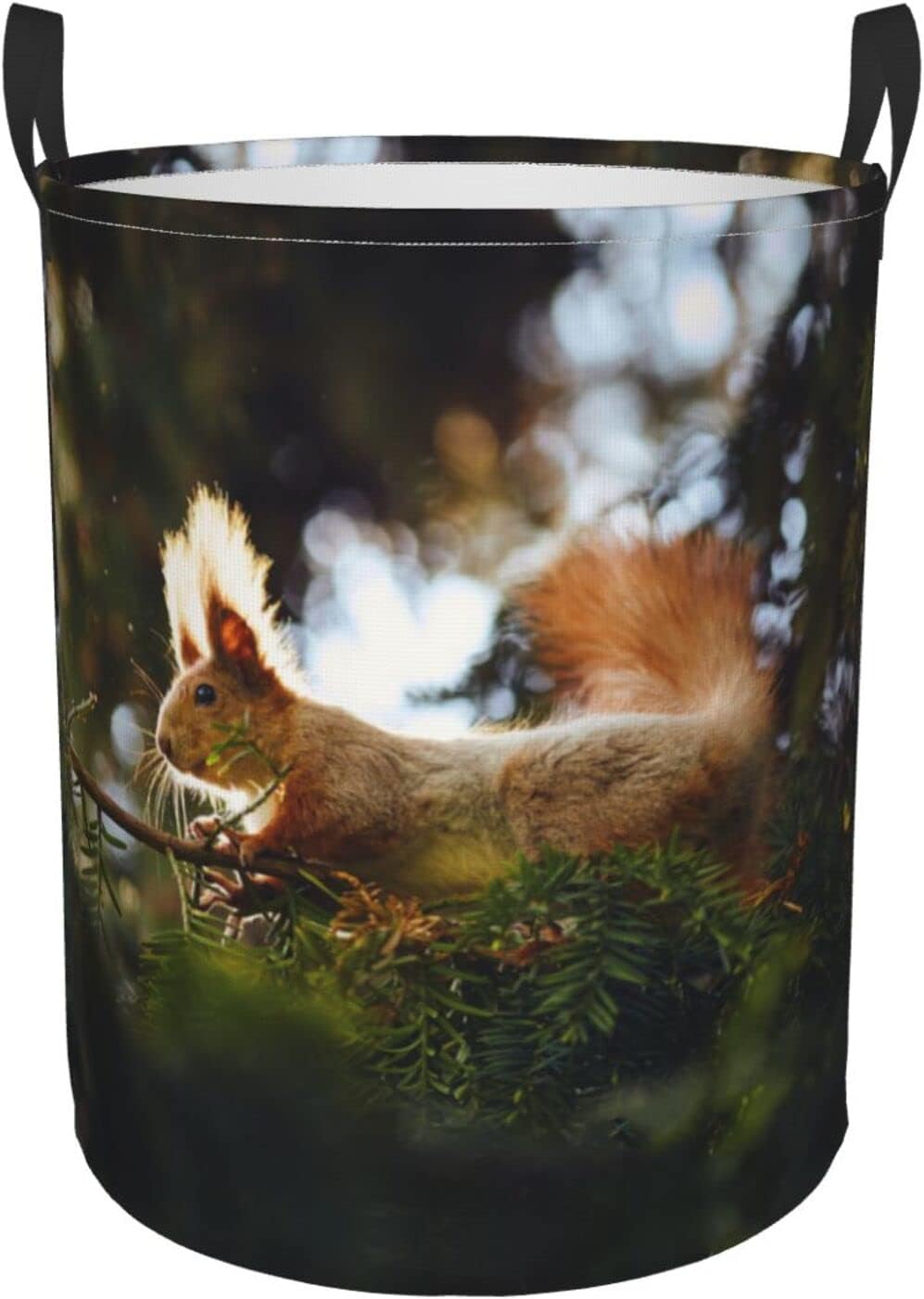Amazon.com: Squirrel Laundry Hamper Cute Laundry Baskets Large Animal ...