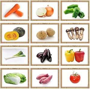Amazon.co.jp: 50 Vegetable Flash Cards (Laminated) : Toys & Games