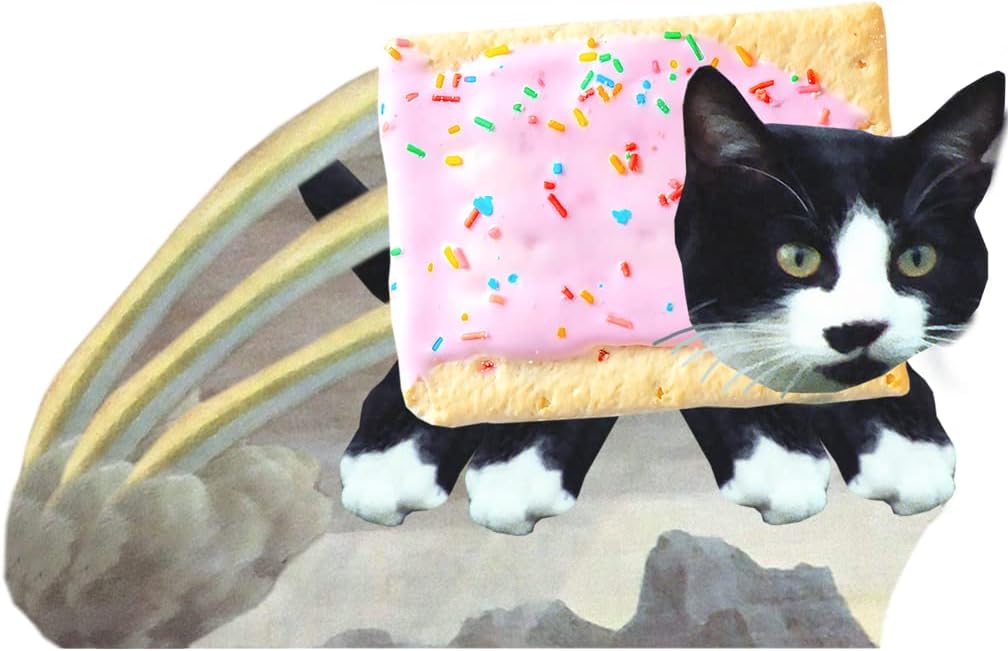 Amazon.com: H40403 Nyan Cat Flying Rainbow Tart Toaster Pastry Pop Meme ...