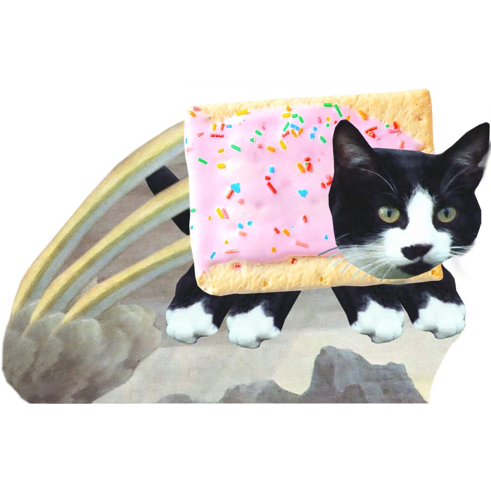 Nyan Cat Fly Real Life Nyan Cat!