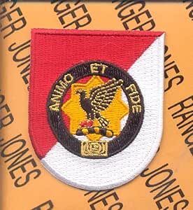 Amazon.com: 1st Cavalry Brigade ACR ANIMO ET Fide w/DUI Crest Beret ...