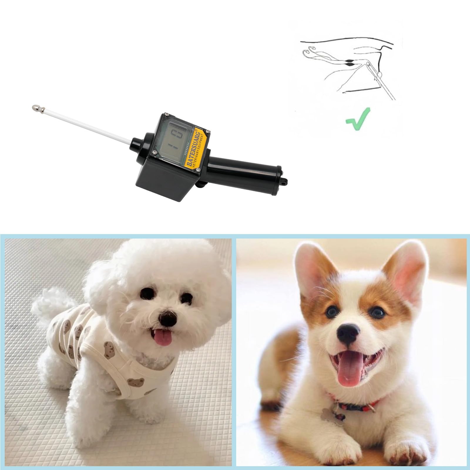 Pet Dna Test Dog NEW Dog Ovulation Detector Tester Fully Automatic ...