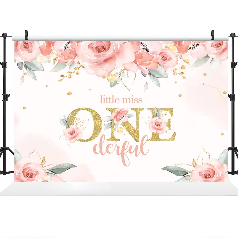 Buy Ticuenicoa 5×3ft Little Miss Onederful Birthday Backdrop Pink ...