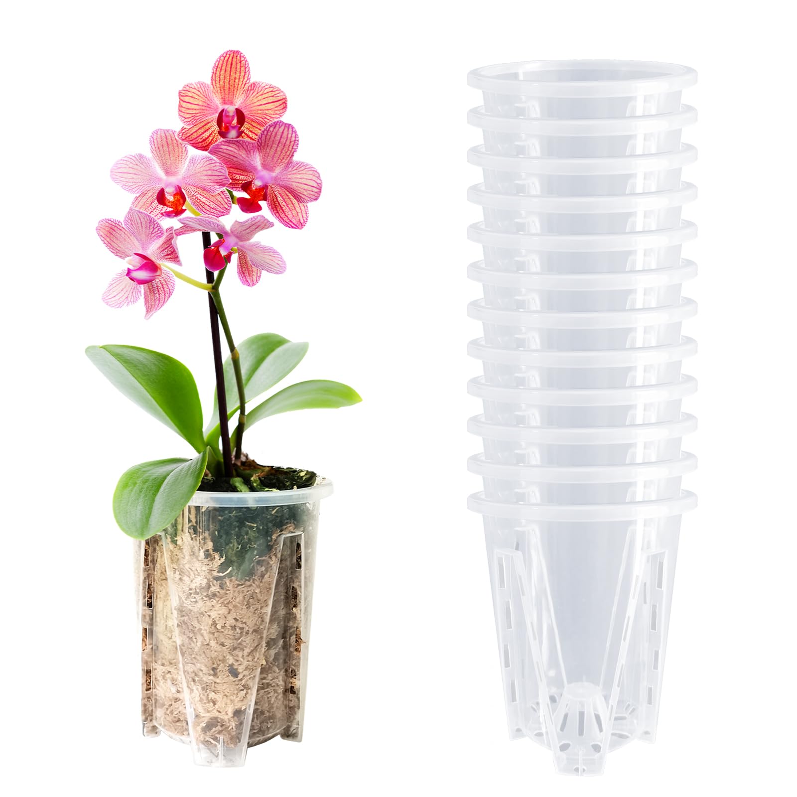 Amazon.com: pavtner Orchid Pot 12 Pack 3.9 Inch, Orchid Pots with Holes ...