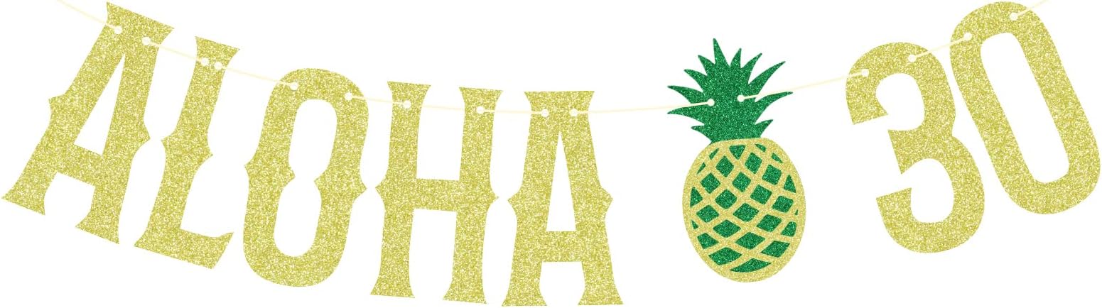 Amazon.com: Pool Party Decoration-Summer Pool Banner Decoration,Large ...