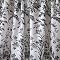 Amazon.com: Laura Ashley - Valance, Cotton Tie Up Window Treatment ...