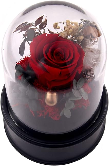 Amazon.com: Preserved Rose Music Box for Women, for her, Forever ...