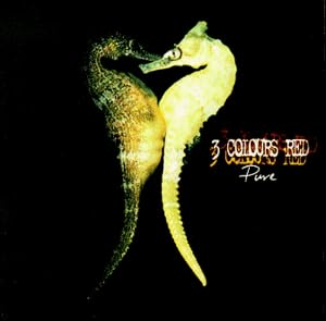 Pure: Amazon.co.uk: CDs & Vinyl