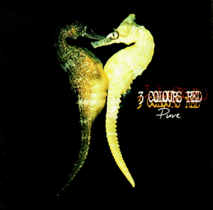 3 Colours Red - Pure - Amazon.com Music