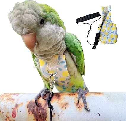 Amazon.com: Parrot Bird Diapers, Birds Flight Suit, Parrot Clothes, Pet ...