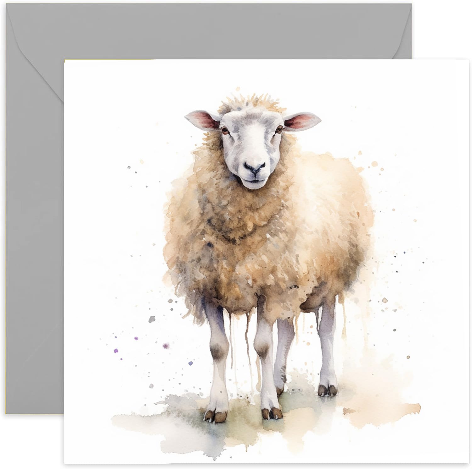 Amazon.com : Old English Co. Watercolour Sheep Greeting Card for ...