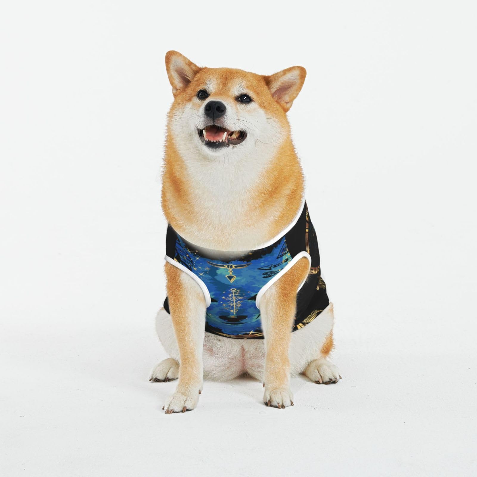 Native American Dog Totem