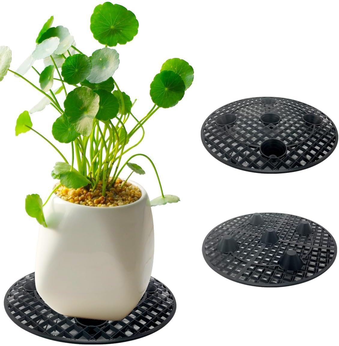Amazon.com: 6 Pcs Plant Level Pot Elevator, 12 inch Heavy Duty Plant ...